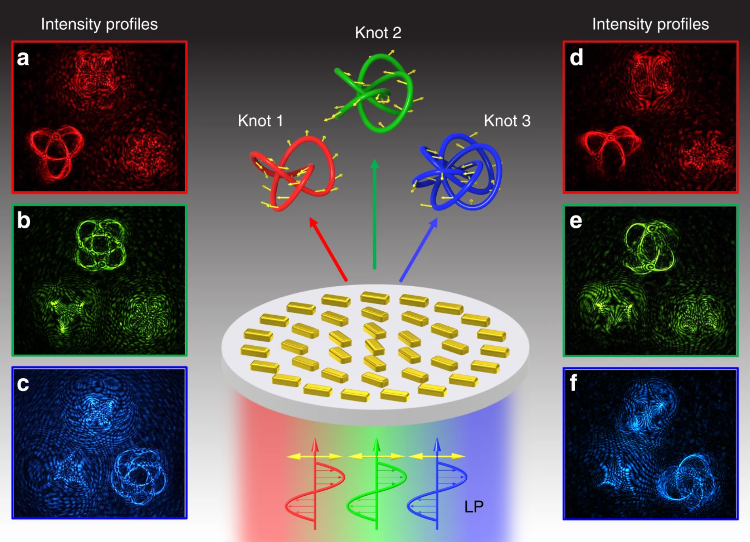 陈树琪实验室英文版